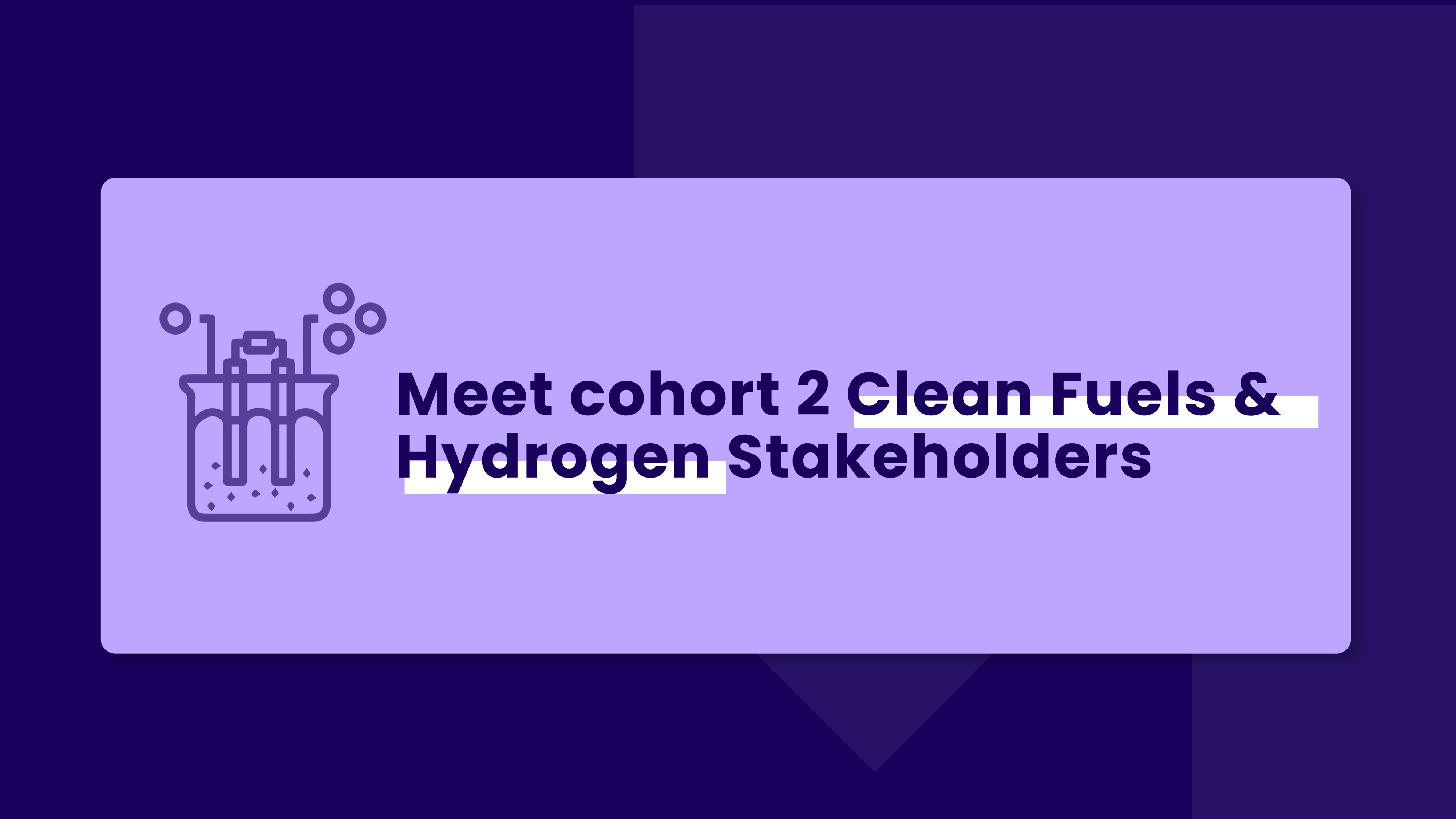 Cohort 2: Introducing Clean Fuels & Hydrogen stakeholders